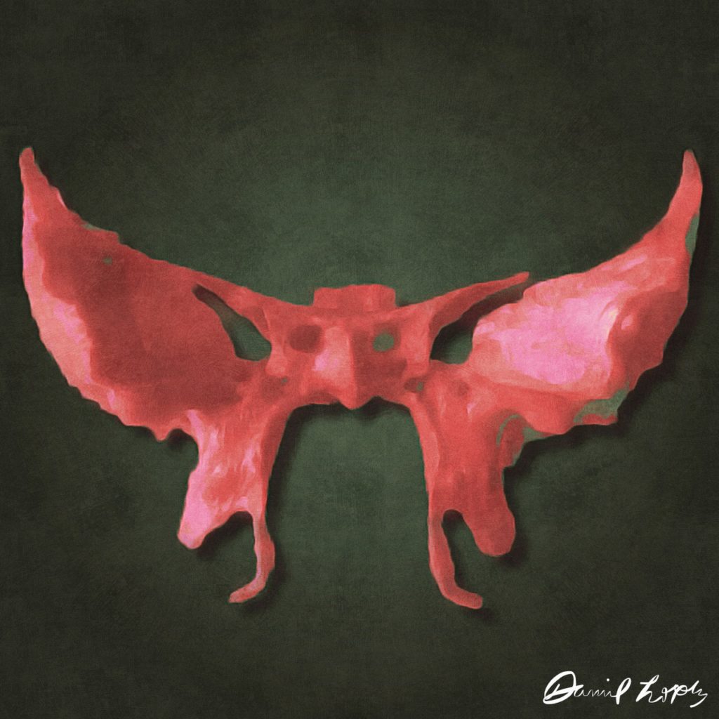 Osteopathic Art - Daniel Lopez, D.O.